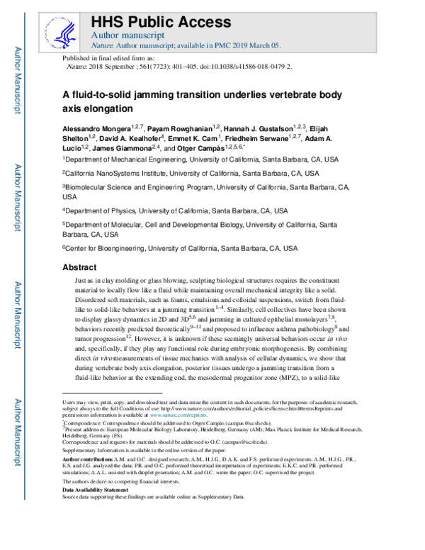 (PDF) A fluid-to-solid jamming transition underlies vertebrate body ...