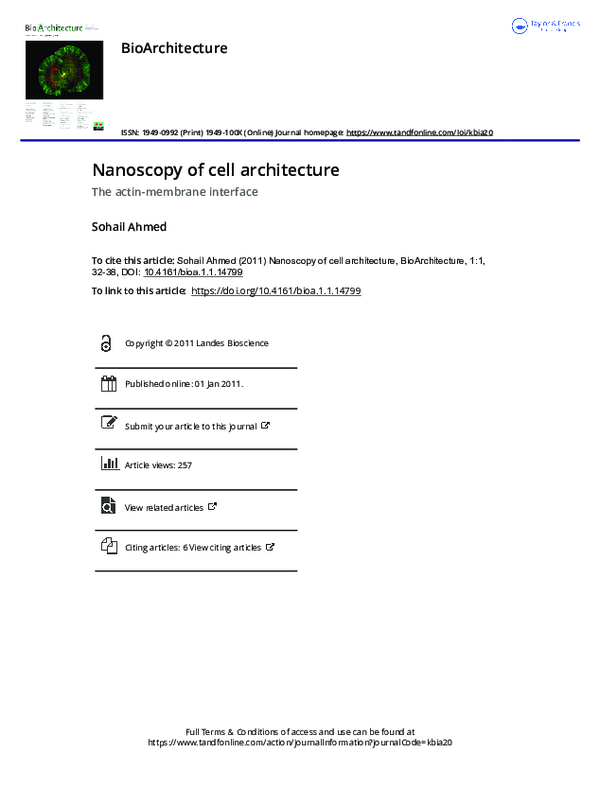 (PDF) Nanoscopy of cell architecture