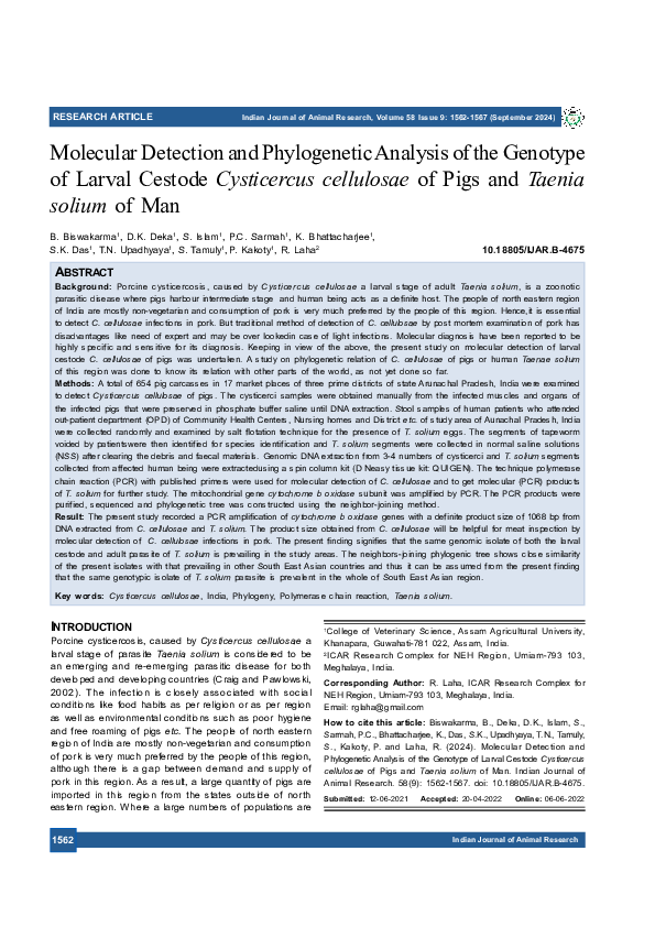 (PDF) Molecular Detection and Phylogenetic Analysis of the Genotype of ...