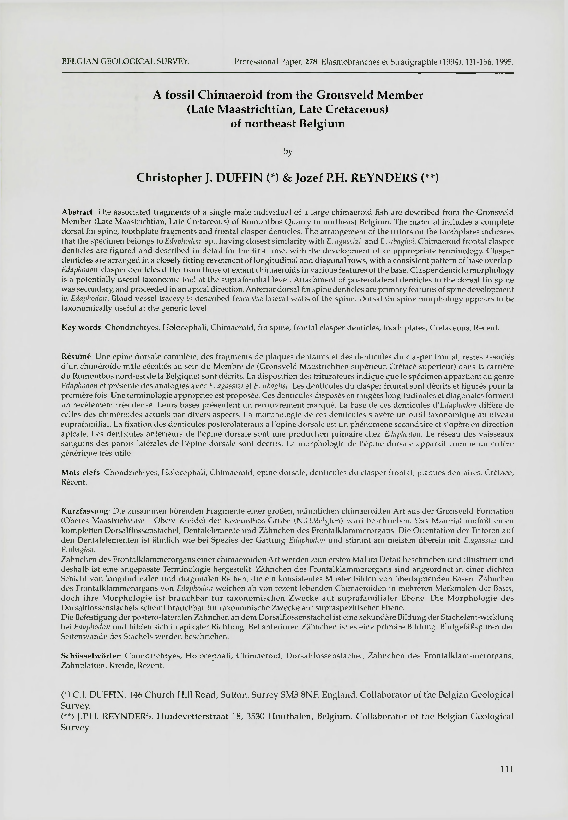 (PDF) A fossil chimaeroid from the Gronsveld Member (late Maastrichtian ...