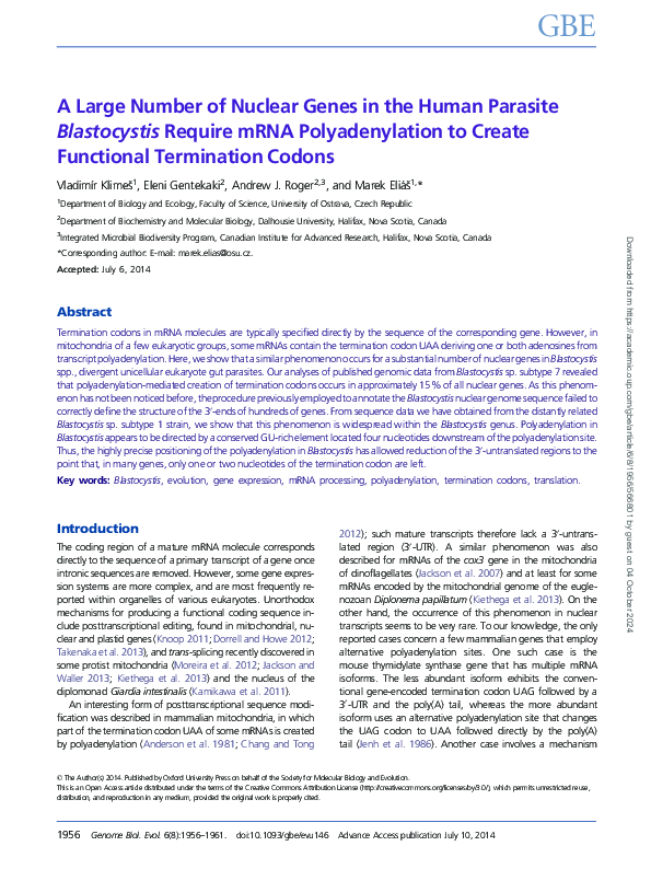 (PDF) A large number of nuclear genes in the human parasite ...