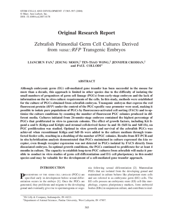 (PDF) Zebrafish Primordial Germ Cell Cultures Derived from vasa::RFP ...