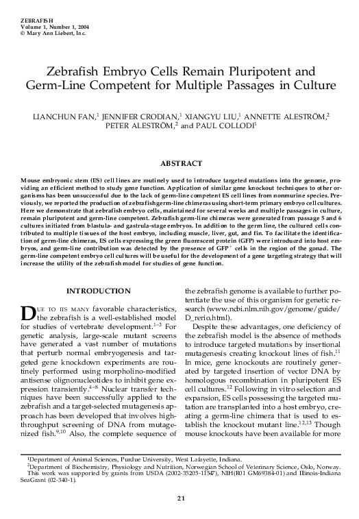 (PDF) Zebrafish Embryo Cells Remain Pluripotent and Germ-Line Competent ...