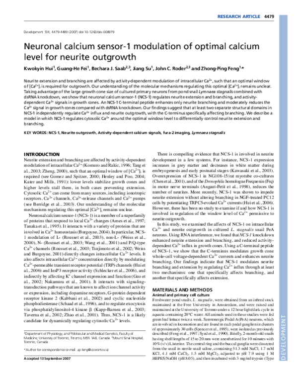 (PDF) Neuronal calcium sensor-1 modulation of optimal calcium level for ...