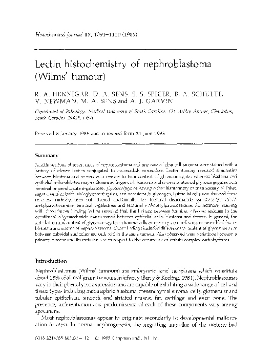 (PDF) Lectin histochemistry of nephroblastoma (Wilms' tumour)