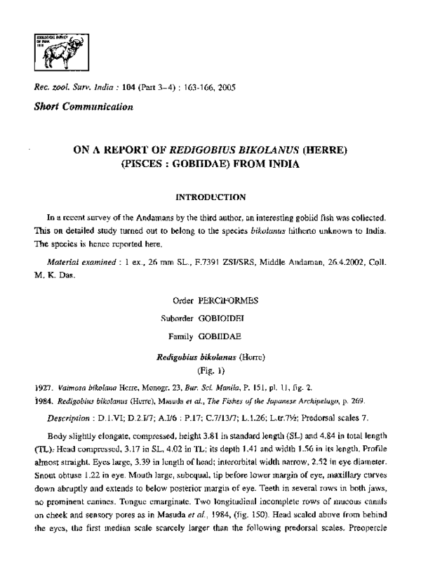 (PDF) On a Report of Redigobius bikolanus (Herre) (Pisces: Gobiidae ...