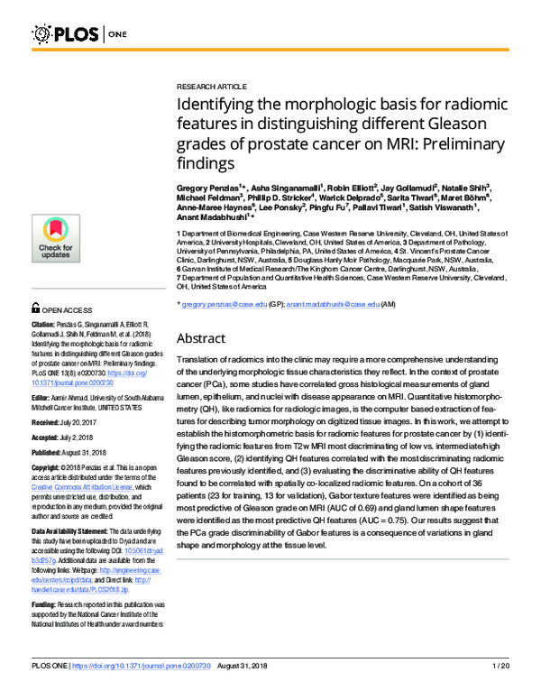 (PDF) Identifying the morphologic basis for radiomic features in ...