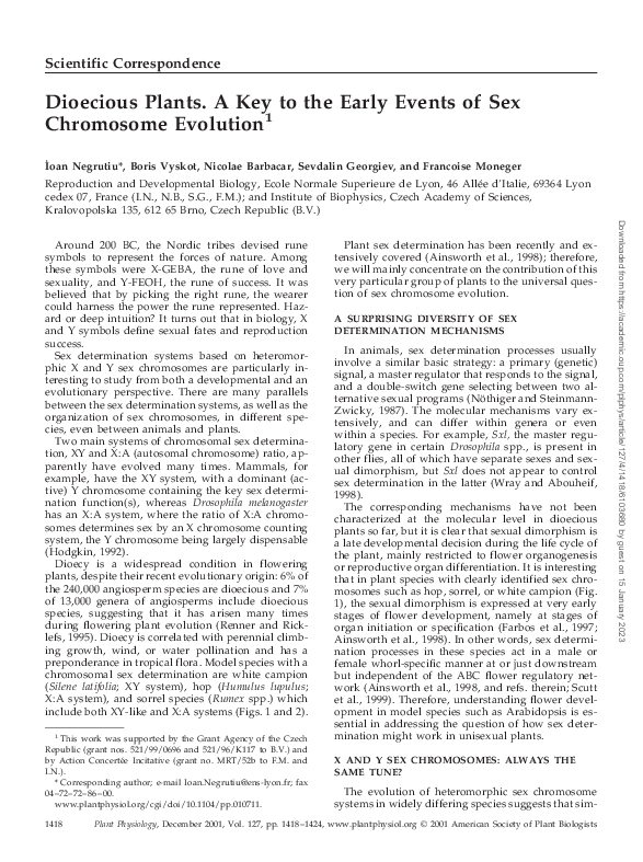 (PDF) Dioecious Plants. A Key to the Early Events of Sex Chromosome ...