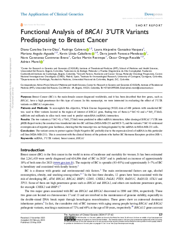 (PDF) Functional Analysis of BRCA1 3’UTR Variants Predisposing to Breast Cancer | Carlos Martín ...