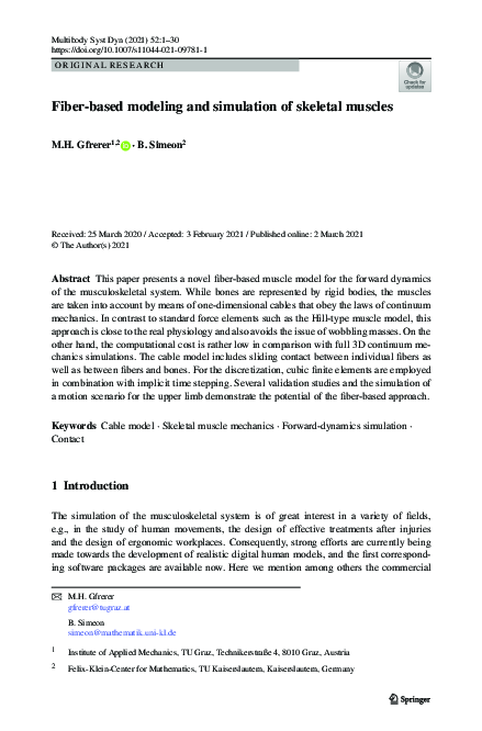 Pdf Fiber Based Modeling And Simulation Of Skeletal Muscles