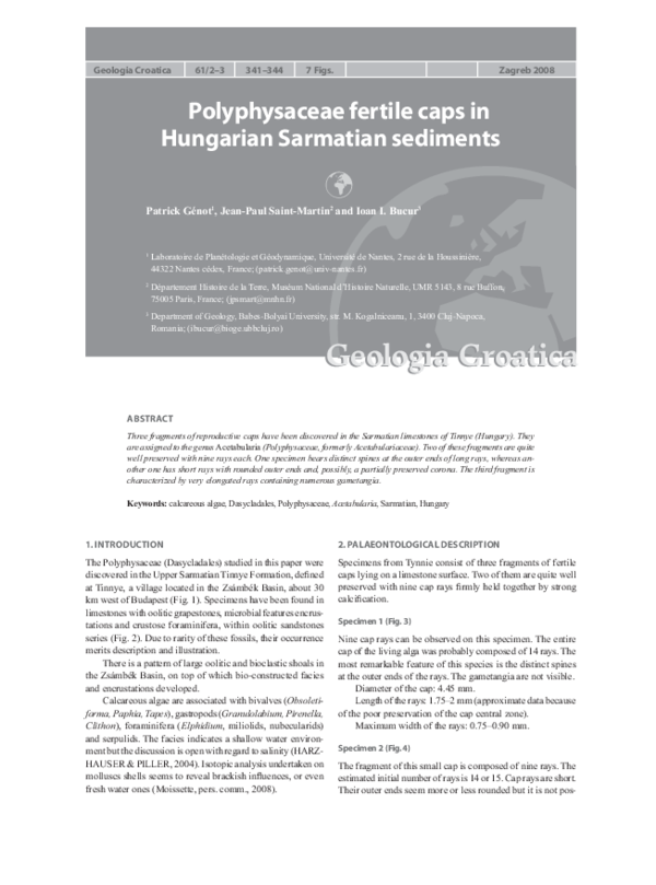 (PDF) Polyphysaceae fertile caps in Hungarian Sarmatian sediments