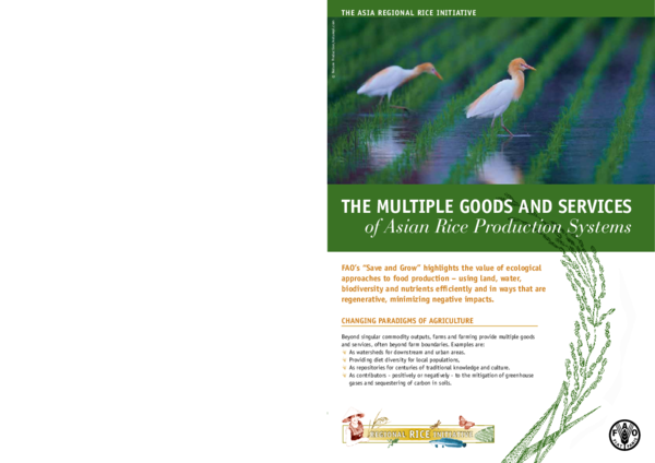 (PDF) The Multiple Goods and Services of Asian Rice Production Systems