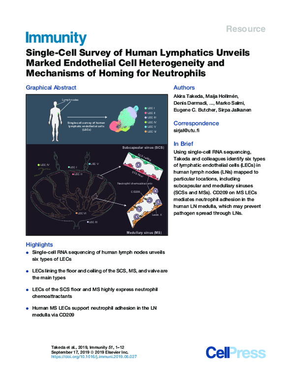 (PDF) Single-Cell Survey of Human Lymphatics Unveils Marked Endothelial ...