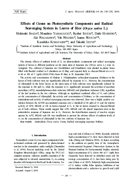 (PDF) Effects of Ozone on Photosynthetic Components and Radical ...