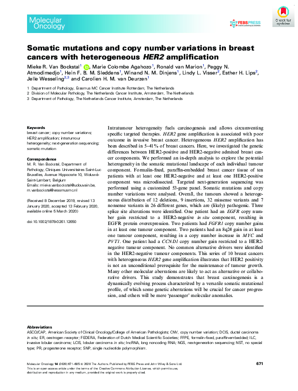 Pdf Somatic Mutations And Copy Number Variations In Breast Cancers