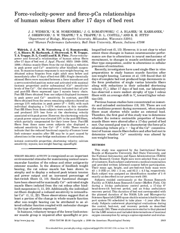 (PDF) Force-velocity-power and force-pCa relationships of human soleus ...