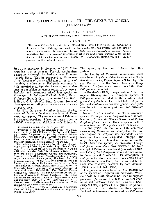 (PDF) The Psilopezioid Fungi. III. The Genus Psilopezia (Pezizales ...