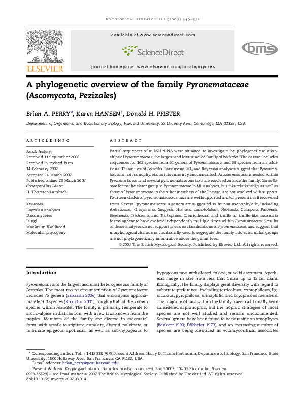 (PDF) A phylogenetic overview of the family Pyronemataceae (Ascomycota, Pezizales)
