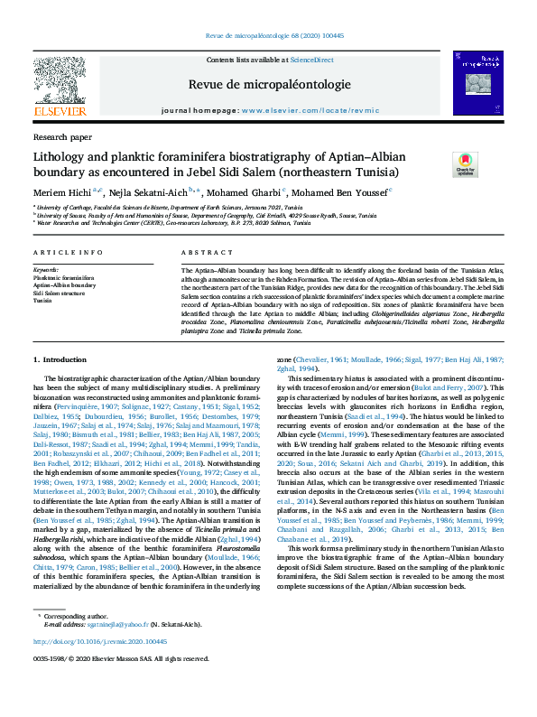 (PDF) Lithology and planktic foraminifera biostratigraphy of Aptian ...