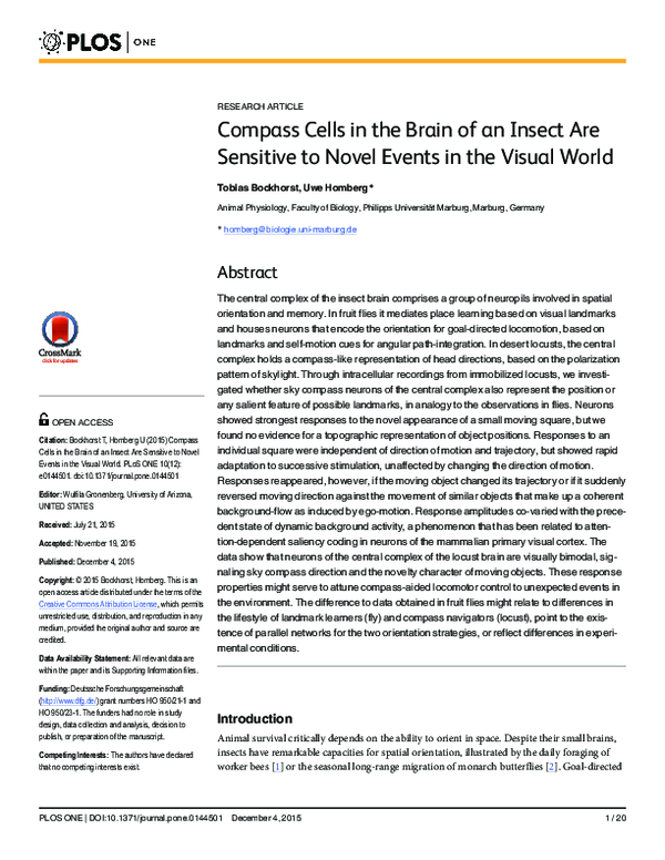 (PDF) Compass Cells in the Brain of an Insect Are Sensitive to Novel ...