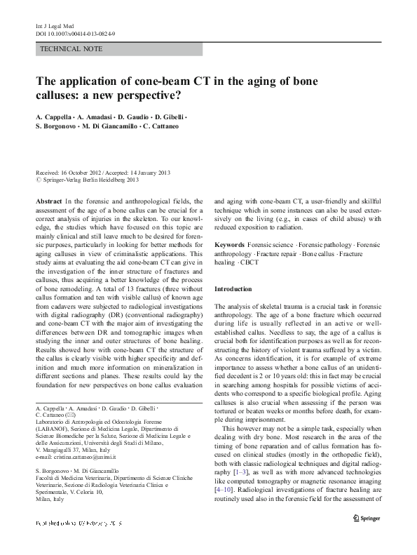 (PDF) The application of cone-beam CT in the aging of bone calluses: a ...