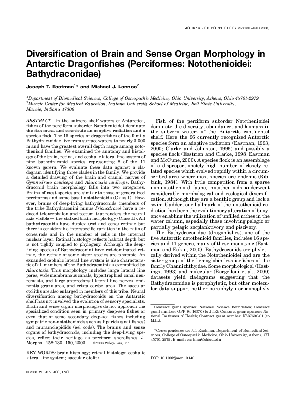 (PDF) Diversification of brain and sense organ morphology in antarctic ...