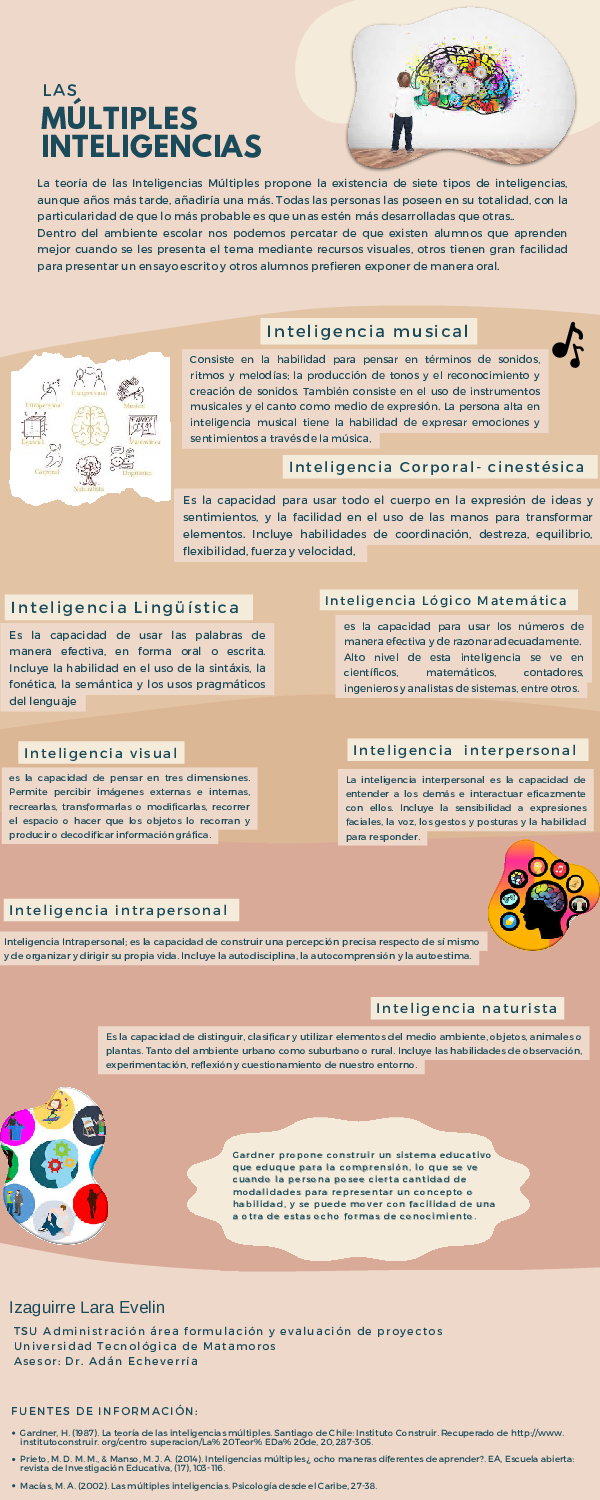 (PDF) Las multiples inteligencias
