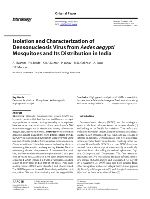 (PDF) Isolation and Characterization of Densonucleosis Virus from Aedes aegypti Mosquitoes and ...
