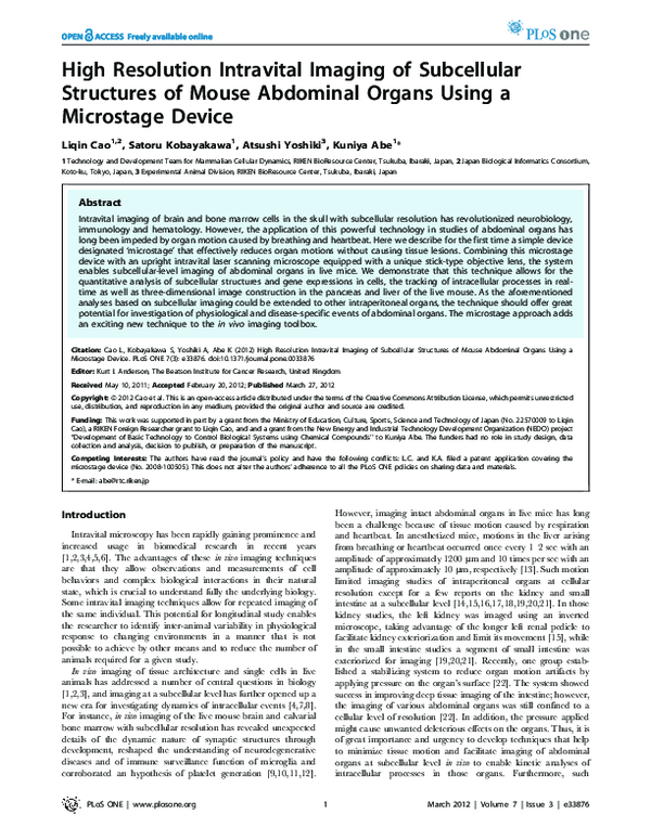 (PDF) High Resolution Intravital Imaging of Subcellular Structures of ...