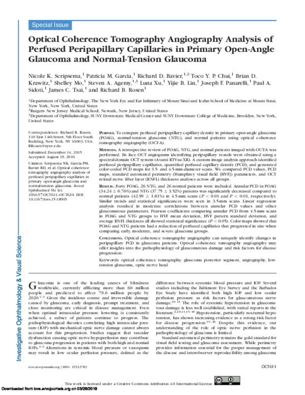 Optical Coherence Tomography Angiography Analysis of Perfused ...