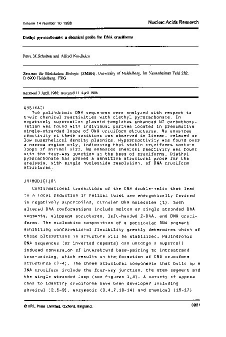 (PDF) Diethyl pyrocarbonate: a chemical probe for DNA cruciforms ...