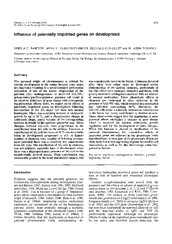 (PDF) Influence of paternally imprinted genes on development