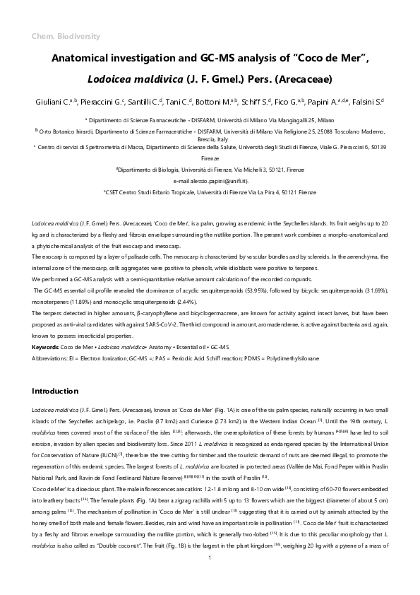 (PDF) Anatomical Investigation and GC/MS Analysis of ‘Coco de Mer’, Lodoicea maldivica (Arecaceae)