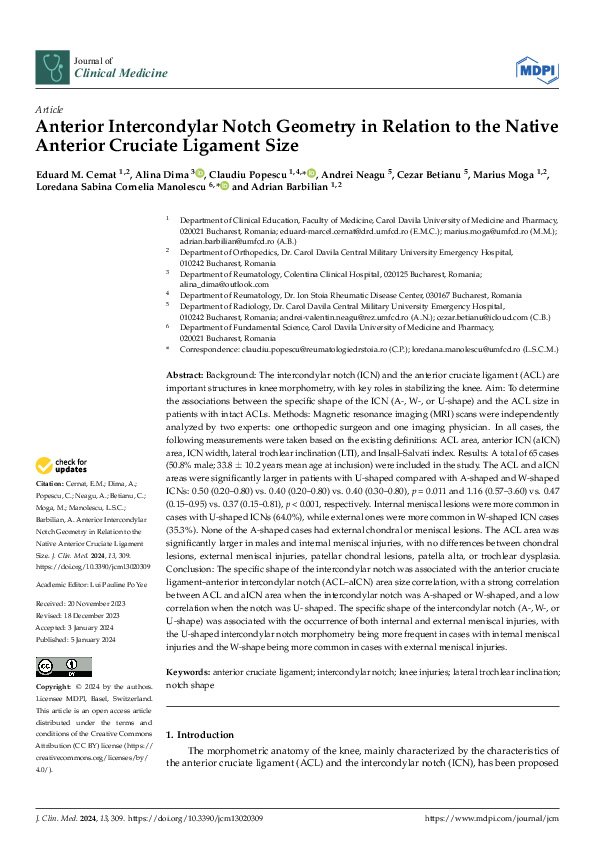 (PDF) Anterior Intercondylar Notch Geometry in Relation to the Native ...