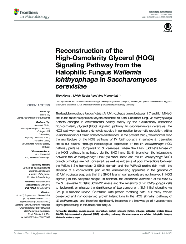 (PDF) Reconstruction of the High-Osmolarity Glycerol (HOG) Signaling ...