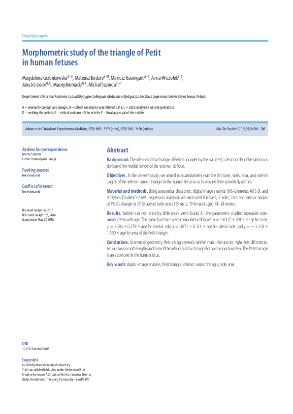 (PDF) Morphometric study of the triangle of Petit in human fetuses