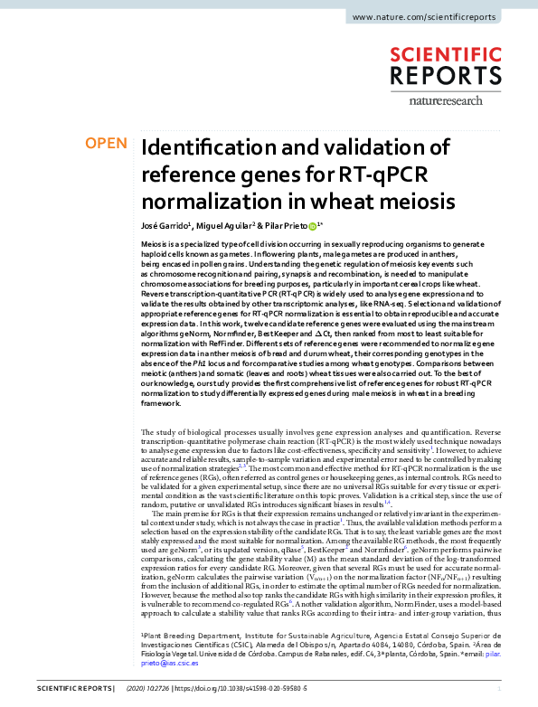 Pdf Identification And Validation Of Reference Genes For Rt Qpcr Normalization In Wheat Meiosis