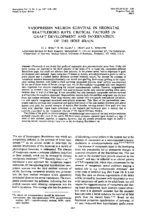(PDF) Vasopressin neuron survival in neonatal Brattleboro rats; critical factors in graft ...