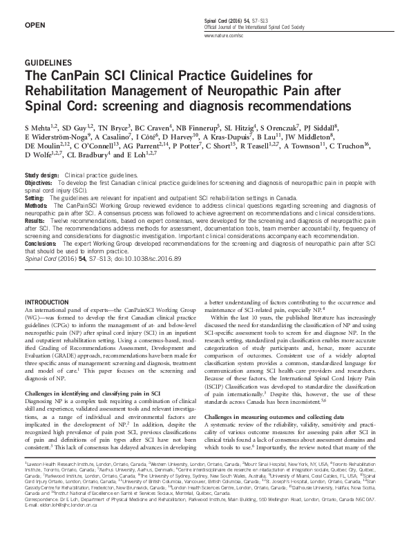 (PDF) The CanPain SCI Clinical Practice Guidelines for Rehabilitation ...