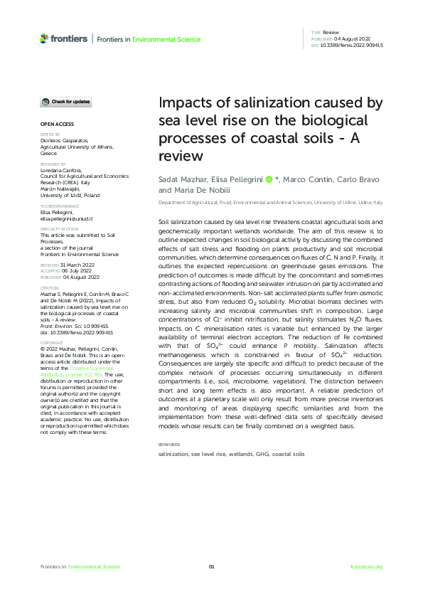 (PDF) Impacts of salinization caused by sea level rise on the ...