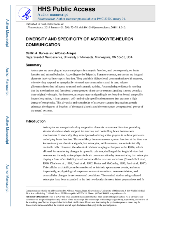 Pdf Diversity And Specificity Of Astrocyte Neuron Communication