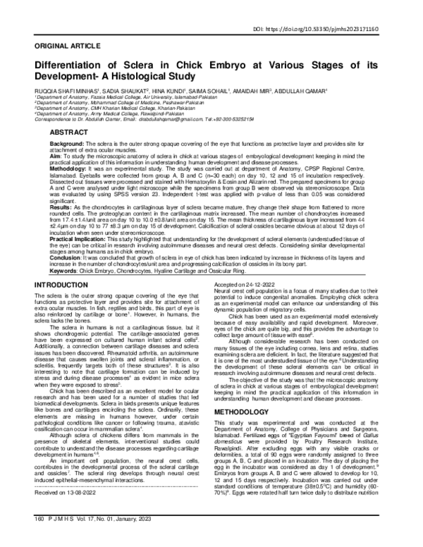 (PDF) Differentiation of Sclera in Chick Embryo at Various Stages of ...
