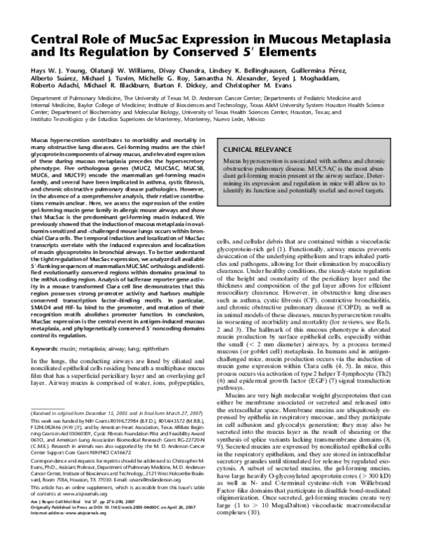 (PDF) Central Role of Muc5ac Expression in Mucous Metaplasia and Its ...