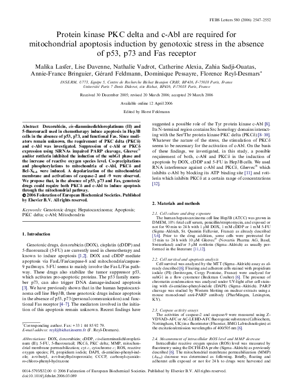 (PDF) Protein kinase PKC delta and c‐Abl are required for mitochondrial ...