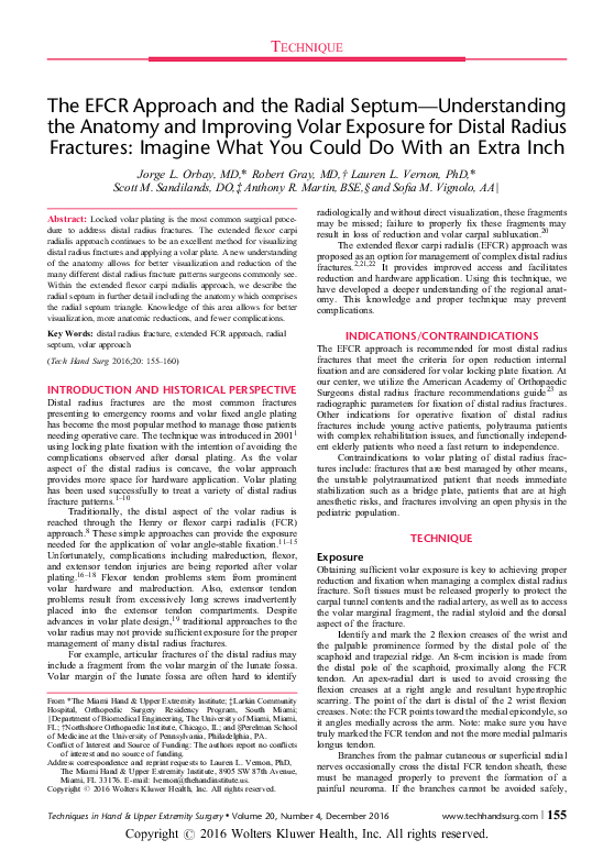 (PDF) The EFCR Approach and the Radial Septum-Understanding the Anatomy ...