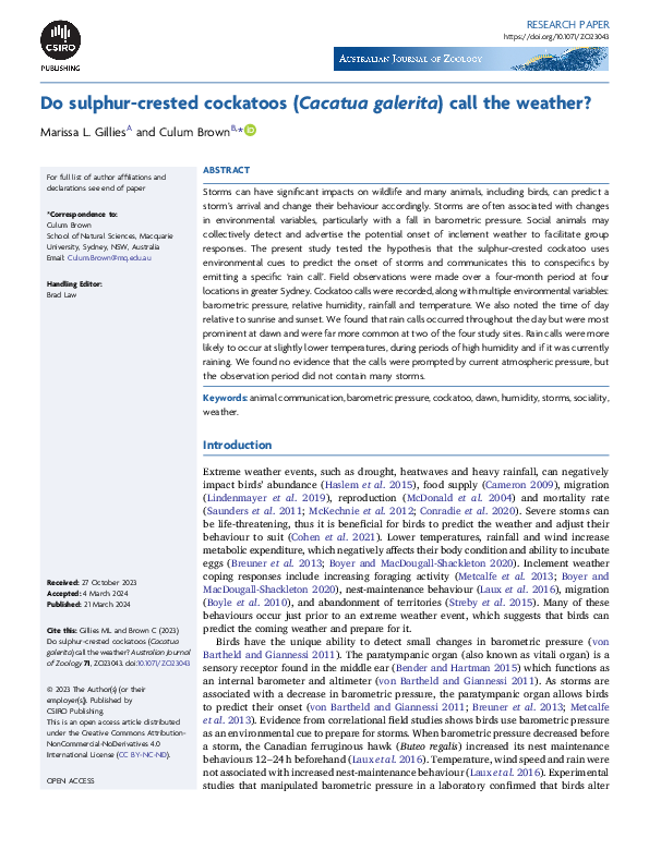 (PDF) Do sulphur-crested cockatoos (Cacatua galerita) call the weather ...