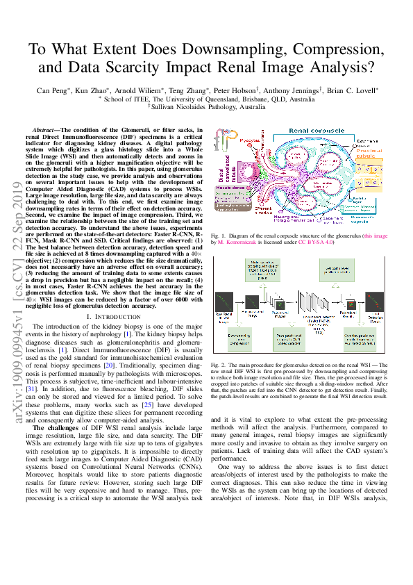 (PDF) To What Extent Does Downsampling, Compression, and Data Scarcity ...