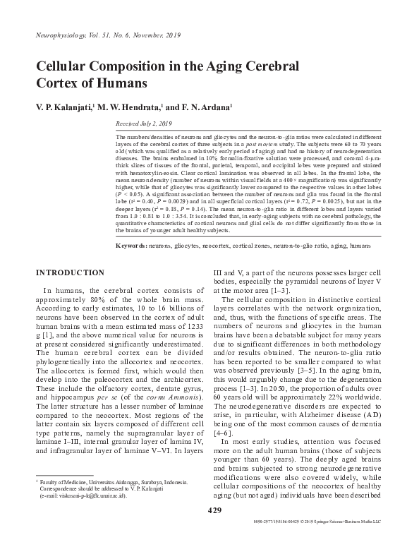 (PDF) Cellular Composition in the Aging Cerebral Cortex of Humans