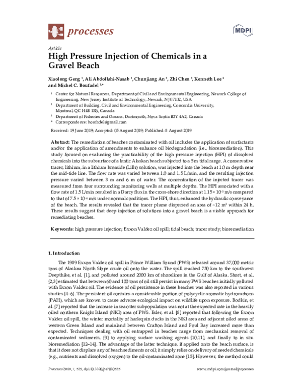 (PDF) High Pressure Injection of Chemicals in a Gravel Beach
