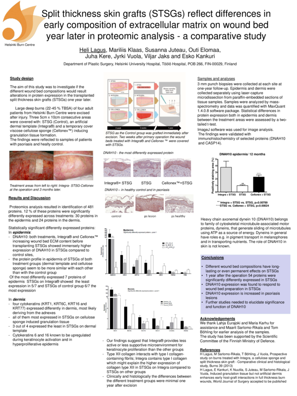 (PDF) 8 - Split thickness skin grafts (STSGs) reflect differences in ...